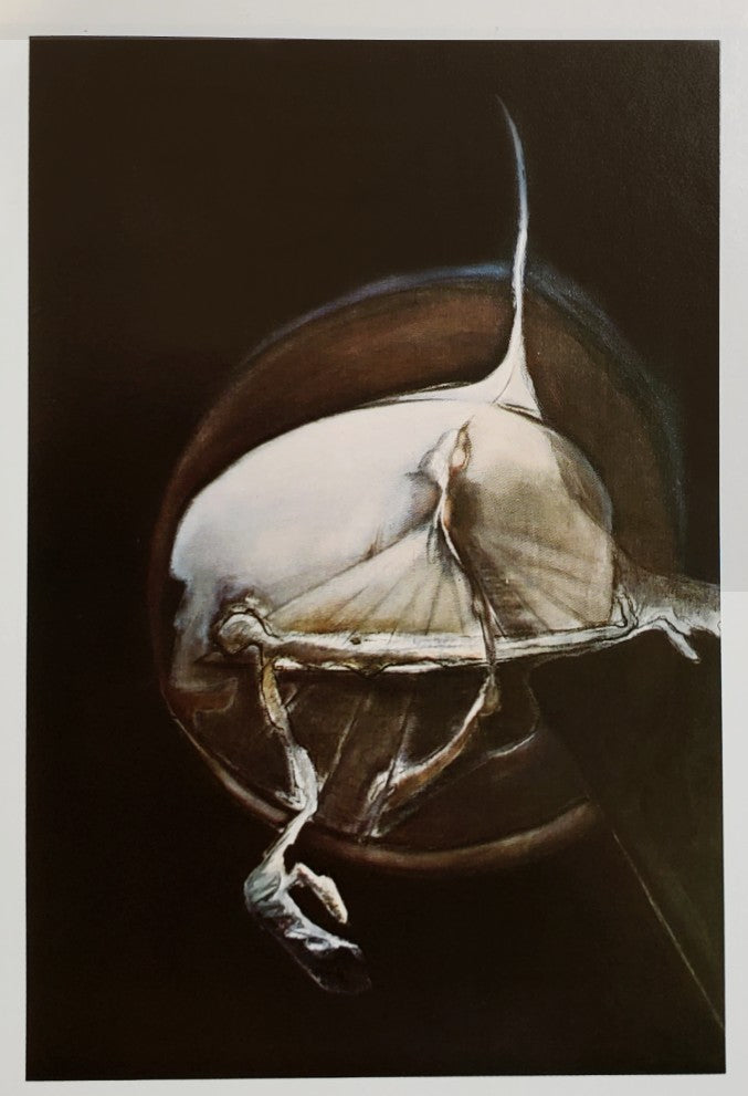 Adele Cohen: The Inner Image – Burchfield Penney Museum Store